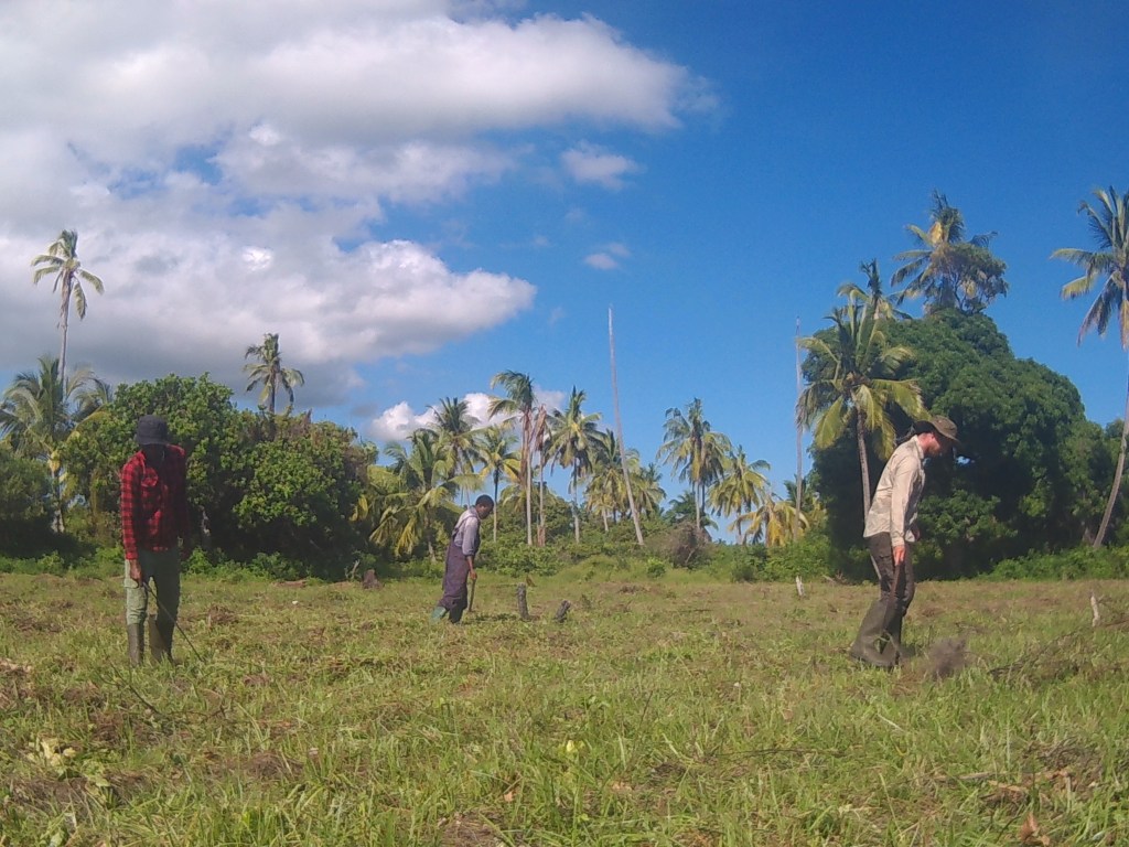 Ras Kisimani Eco Lodge | Development of an Eco Resort with Permaculture ...